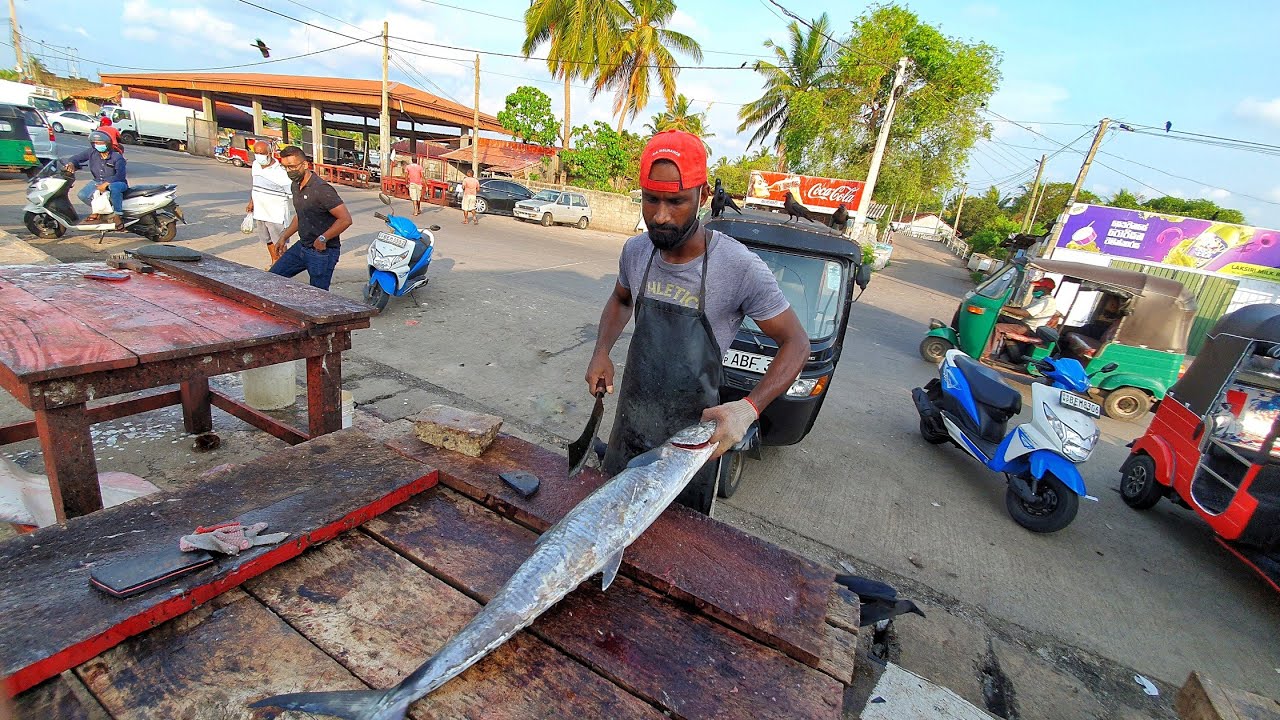Spanish Mackerel Fish Slicing by Mr. Dulaj in Sri Lanka 🇱🇰 | තෝරා - YouTube