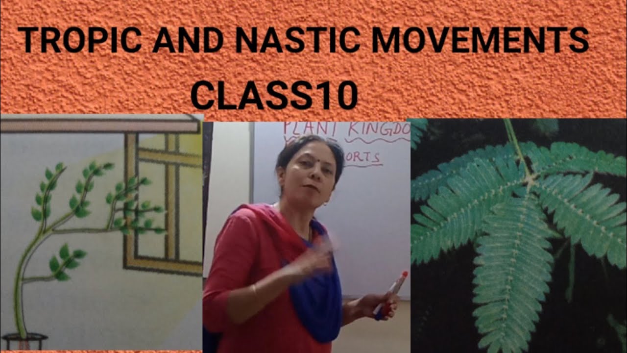 MOVEMENT IN PLANTS /TROPIC AND NASTIC MOVEMENTS/ CLASS10/ CONTROL AND ...
