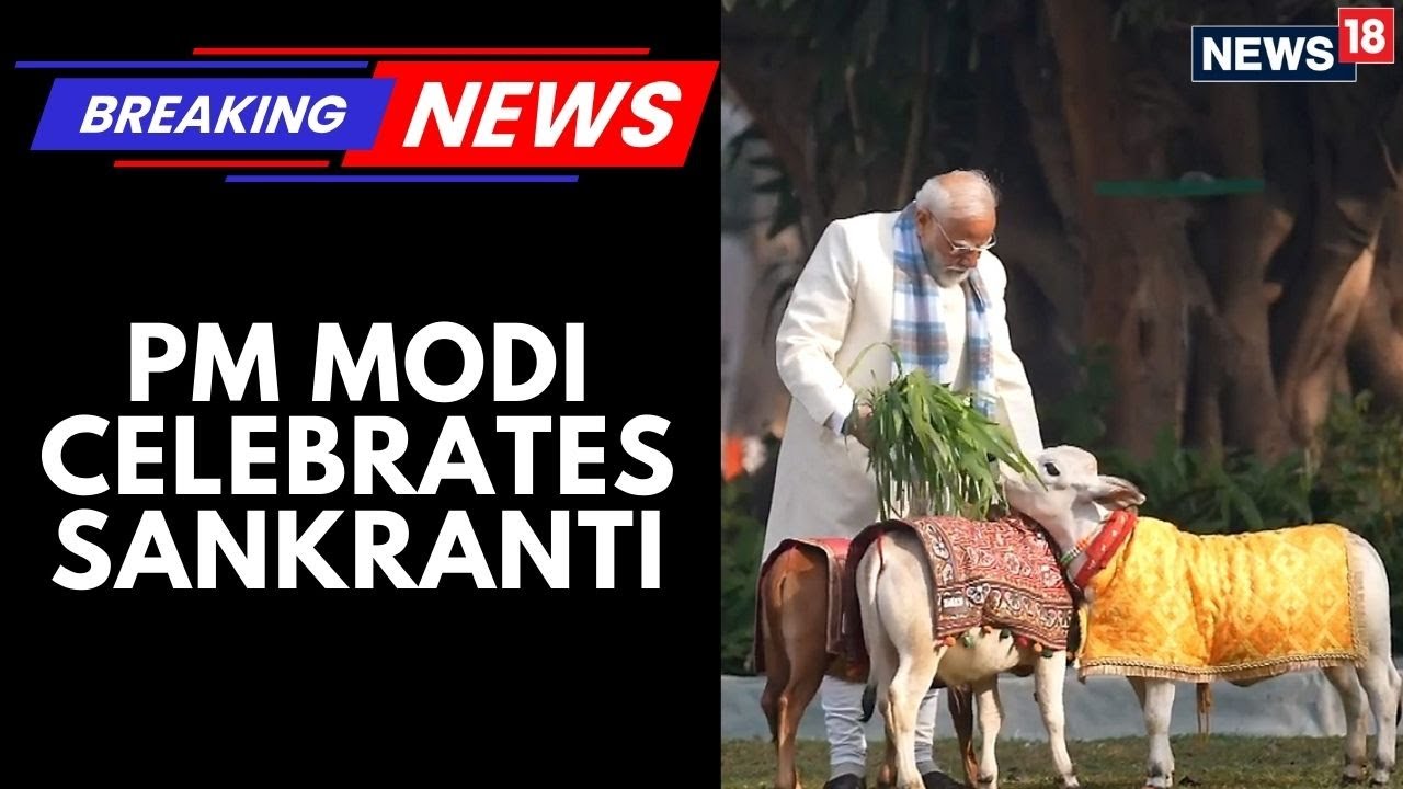 Makar Sankranti 2026 | PM Modi Celebrates Sankranti, Feeds Cows At 7LKM ...