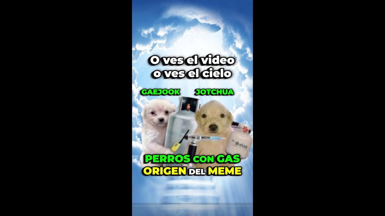 PERRO CON GAS ORIGEN DEL MEME - LA HISTORIA DE JOTCHUA Y GAEJOOK - YouTube