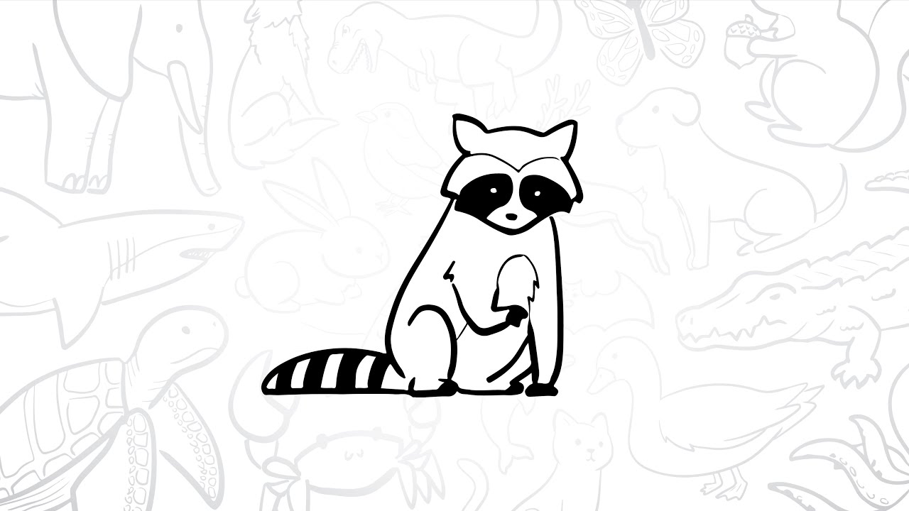 How To Draw a Simple Raccoon | Step-by-Step Lesson - YouTube