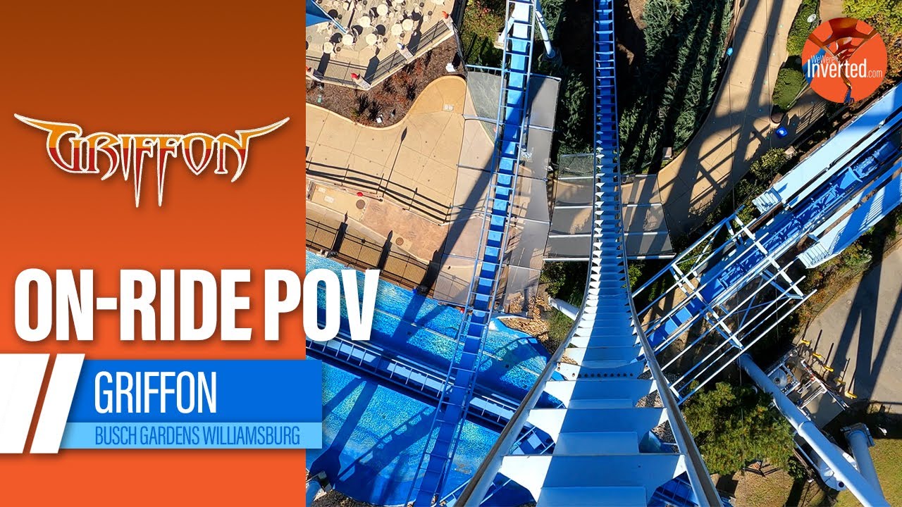 Griffon Busch Gardens Youtube