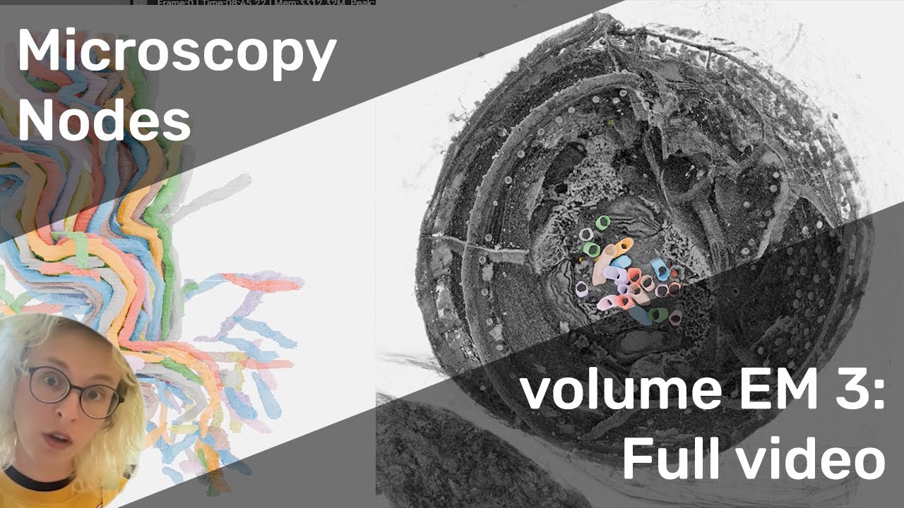 Electron microscopy in Blender: presentation-ready video - YouTube