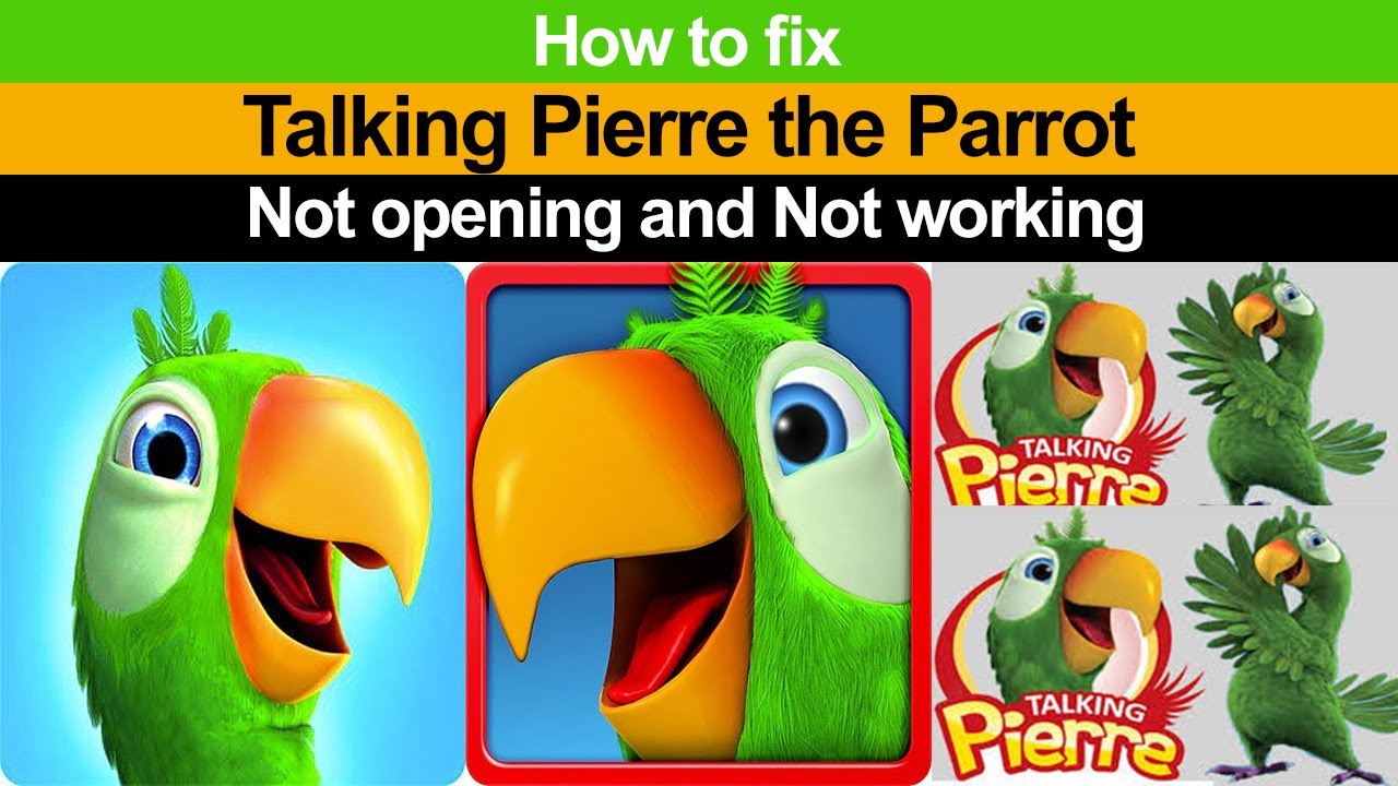 How to fix Talking Pierre the Parrot not opening and not working on ...