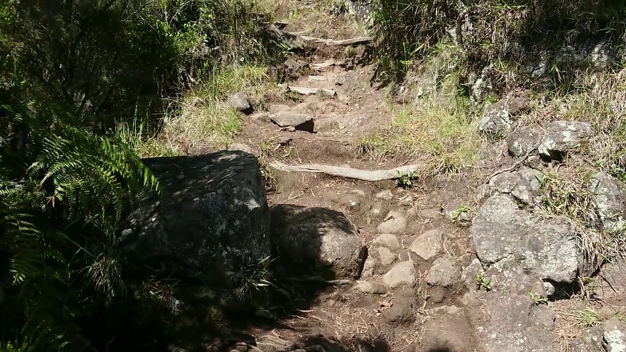 Le Piton du Petit Mapou depuis le Tapage - YouTube