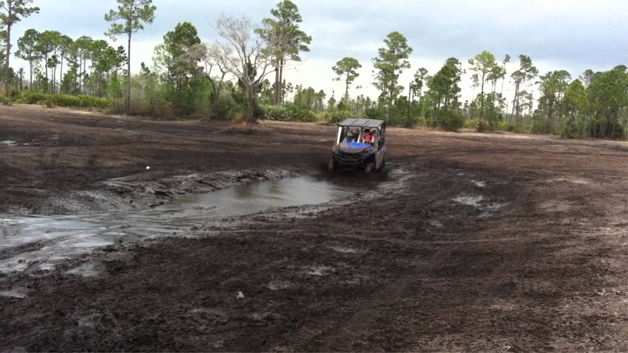Mud Tours and Gator Waders - YouTube