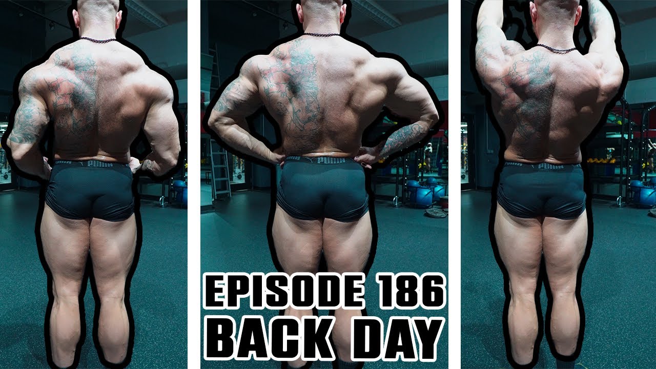 Back & Trap Workout | Leverage Rows, EZ Bar Rows & Seated Shrugs for Muscle Balance - YouTube