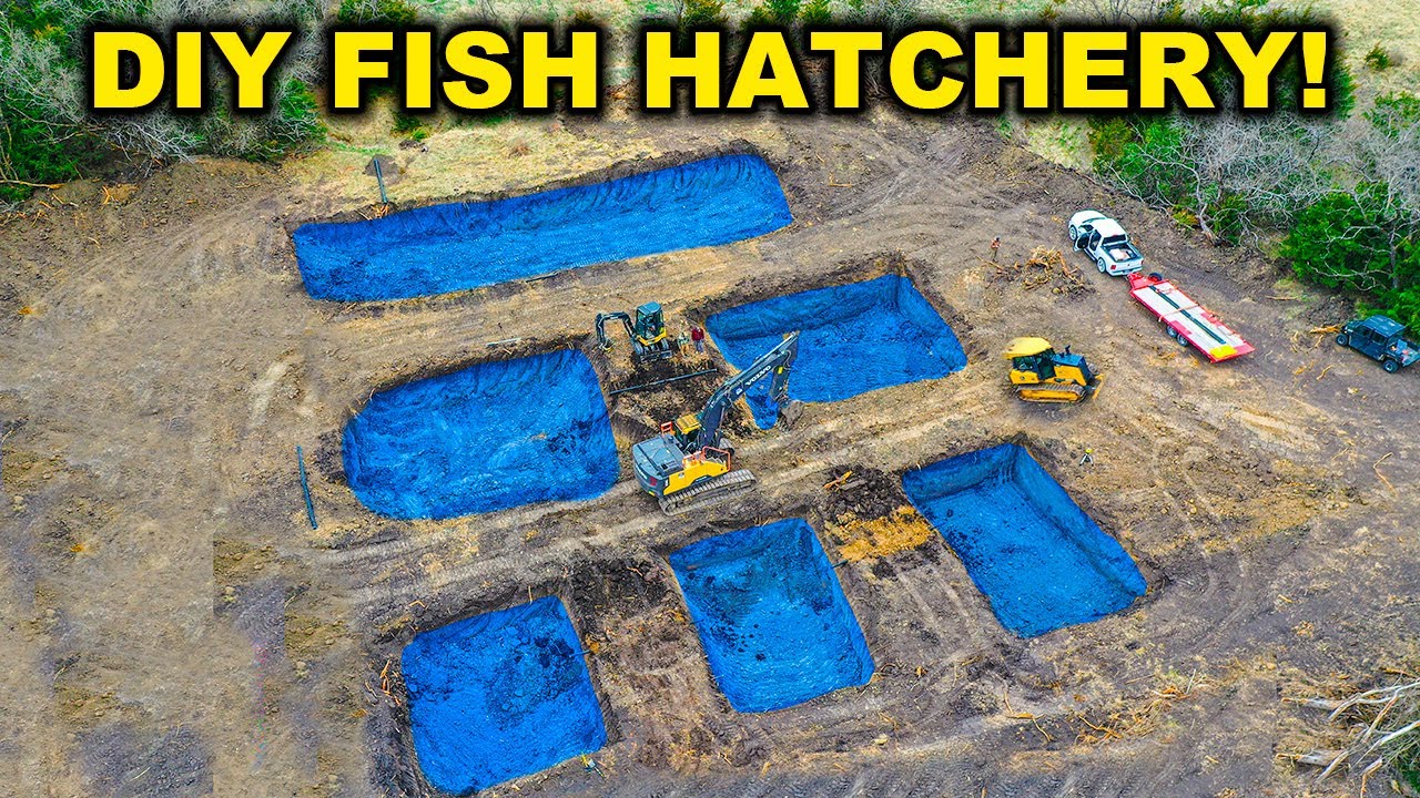Building a Giant FISH HATCHERY at My RANCH!!! (6 Ponds Complete!) - YouTube