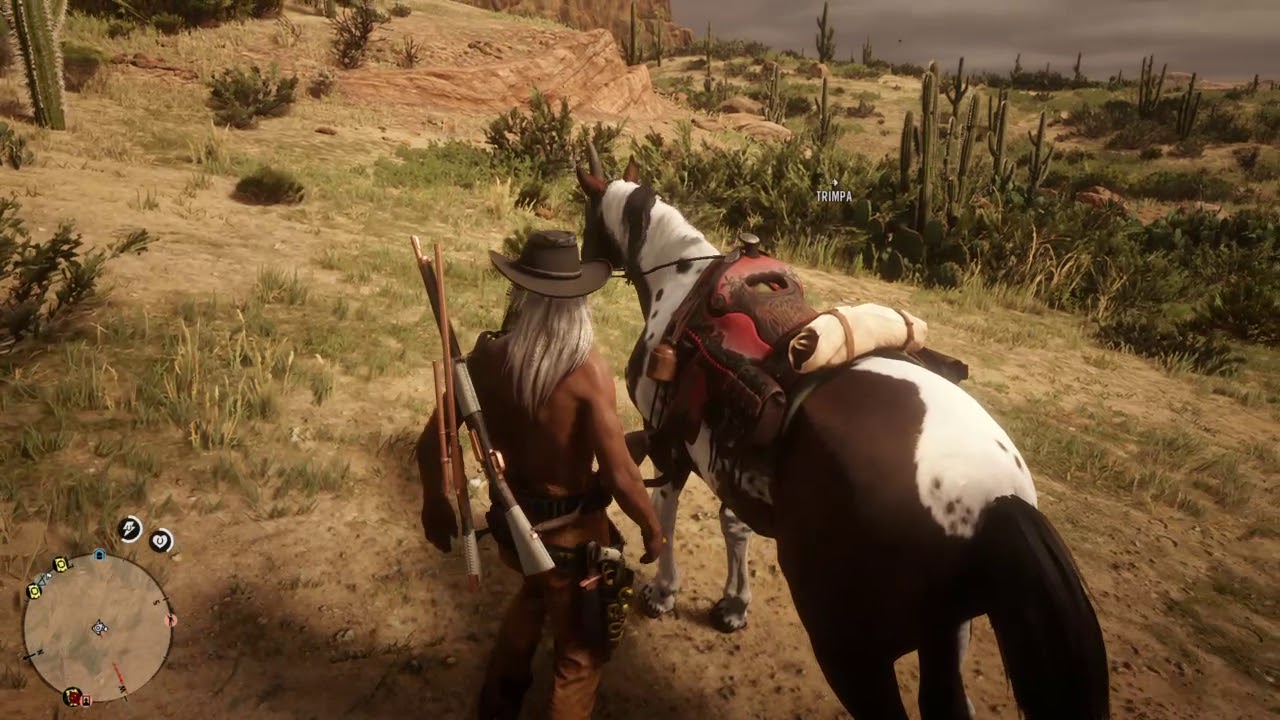 Red Dead Redemption 2 Online _ Spotted Tricolor Horse _ Norfolk ...