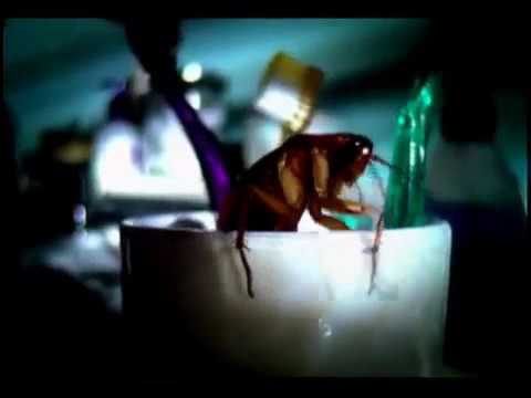 Mortein Commercial circa 2001 "I Will Survive" 30s - YouTube