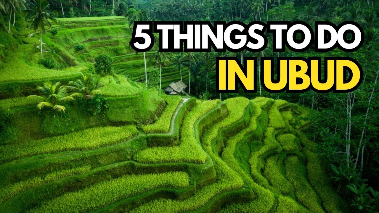 Top 5 Things to Do in Ubud, Bali | Best Activities in Ubud 2024 - YouTube