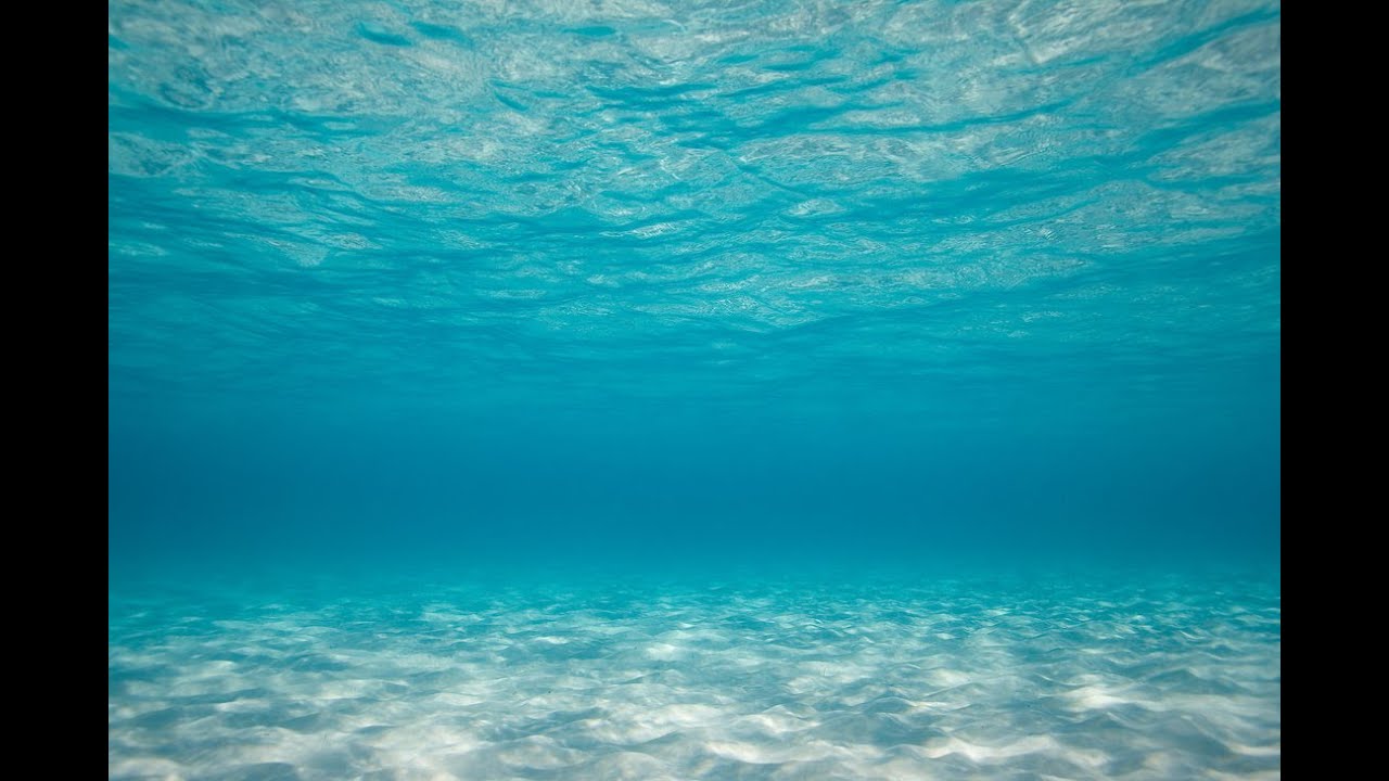 31 Images That Shows What Lies Just Beneath The Water's Surface - YouTube