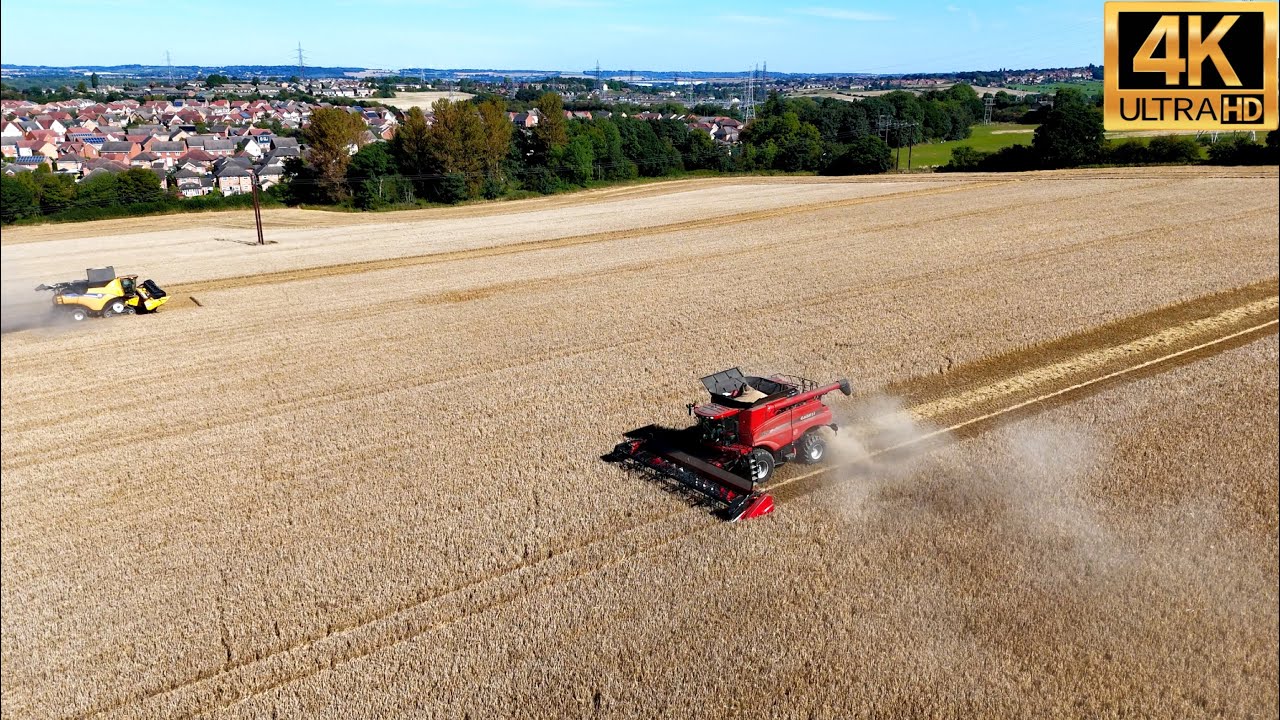 4K 2024 BIG CASE & NEW HOLLAND Combine Harvesting Wheat in England ...