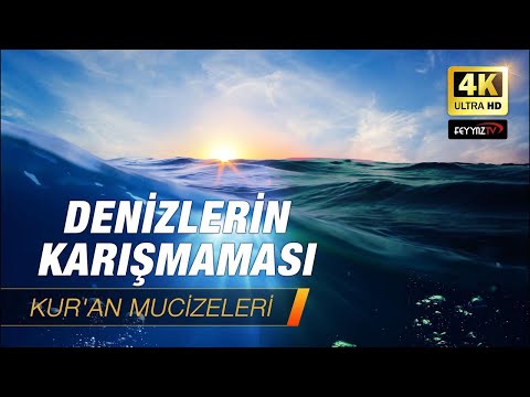 Denizlerin Karışmaması [Kur'an Mucizeleri] 4K