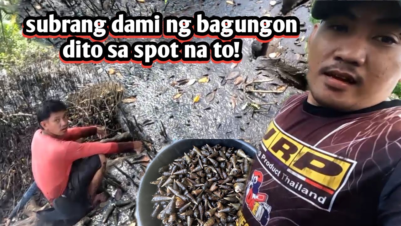 Sikritong spot, grabe subrang dami ng mud shell, - YouTube