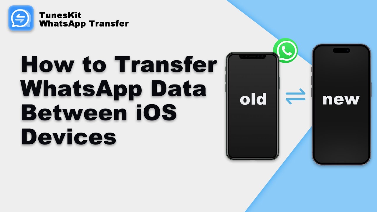 How to Transfer WhatsApp Data Between iOS Devices [2 ways] - YouTube