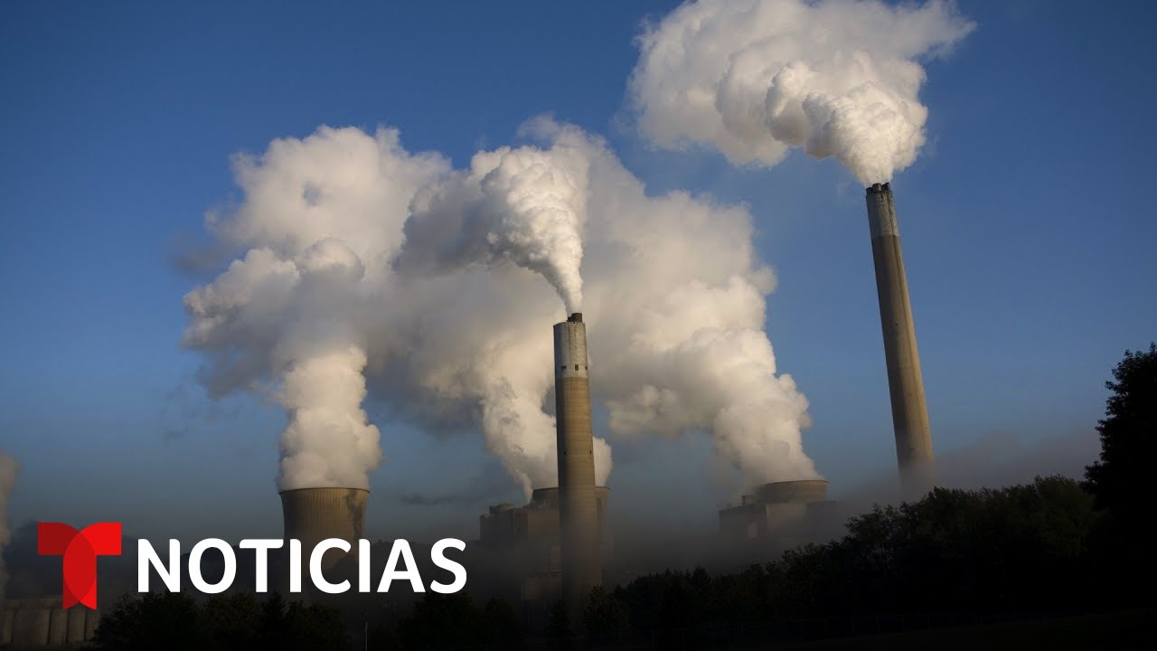 Planeta Tierra: Contaminación del aire puede dañar huesos de seres ...