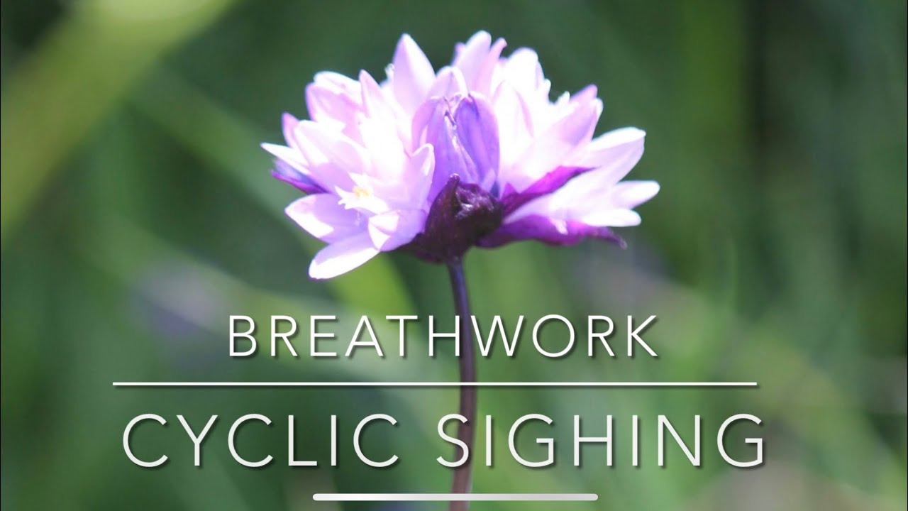 Breathwork | Sigh for Stress Relief - YouTube