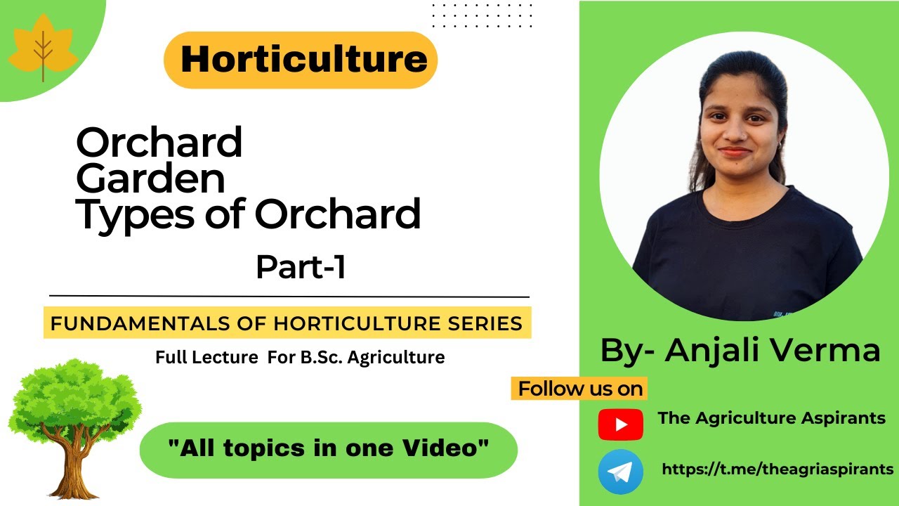 Orchard and Types of Orchard, Garden|| Orchard Management Part-1 ...