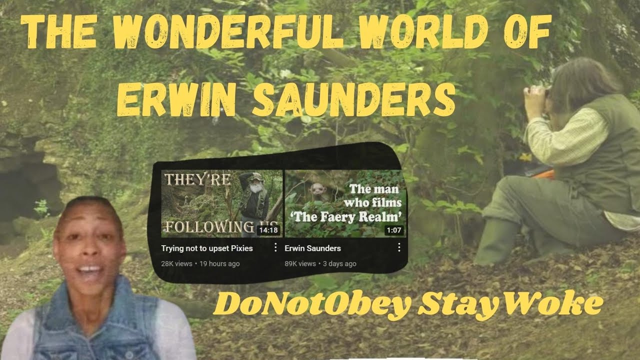 The Wonderful World of Erwin Saunders /Fairies / Pixies/ Small ...