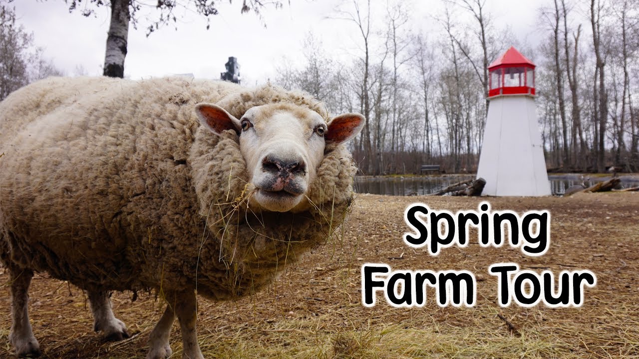 Spring Farm Tour 2022 - YouTube