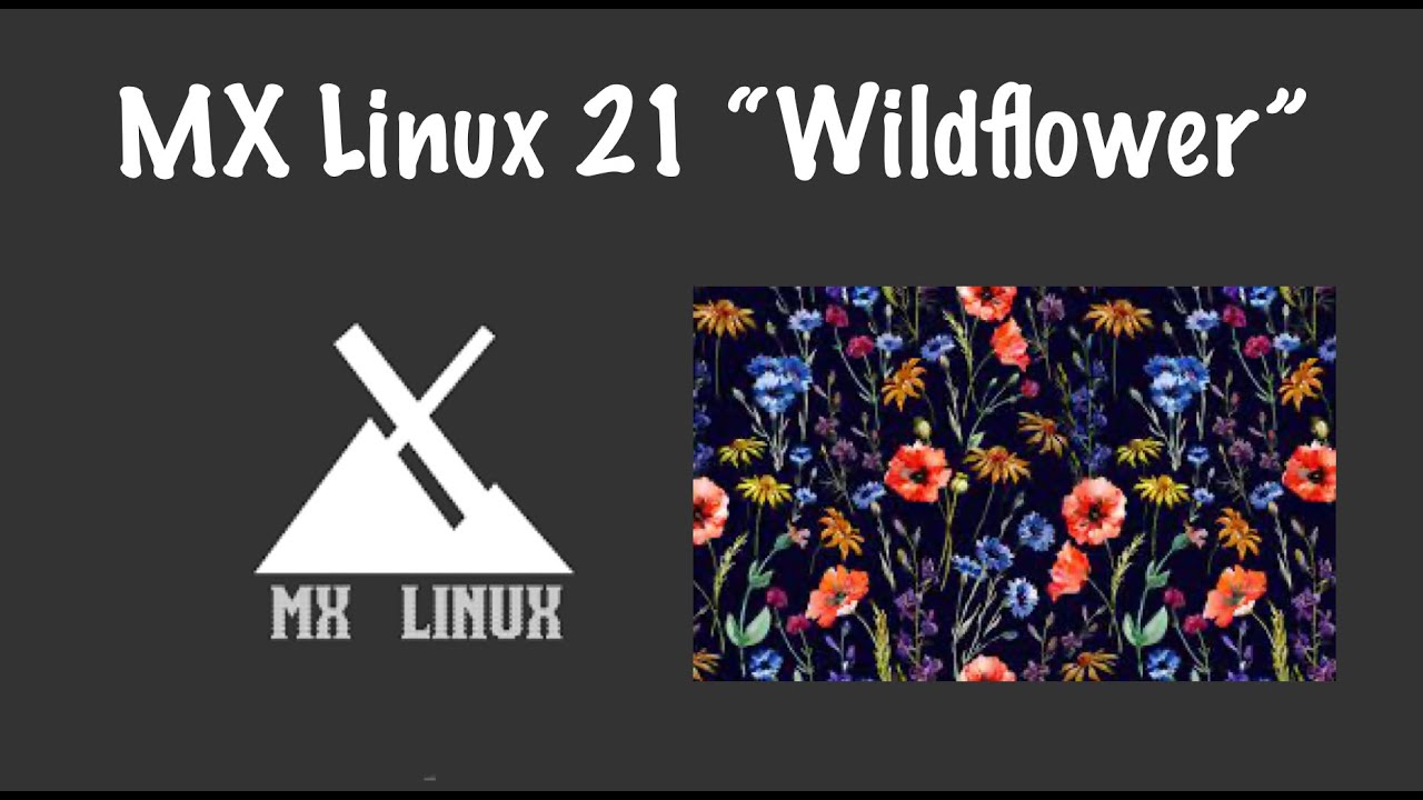 MX Linux 21 "Wildflower" Beta - YouTube