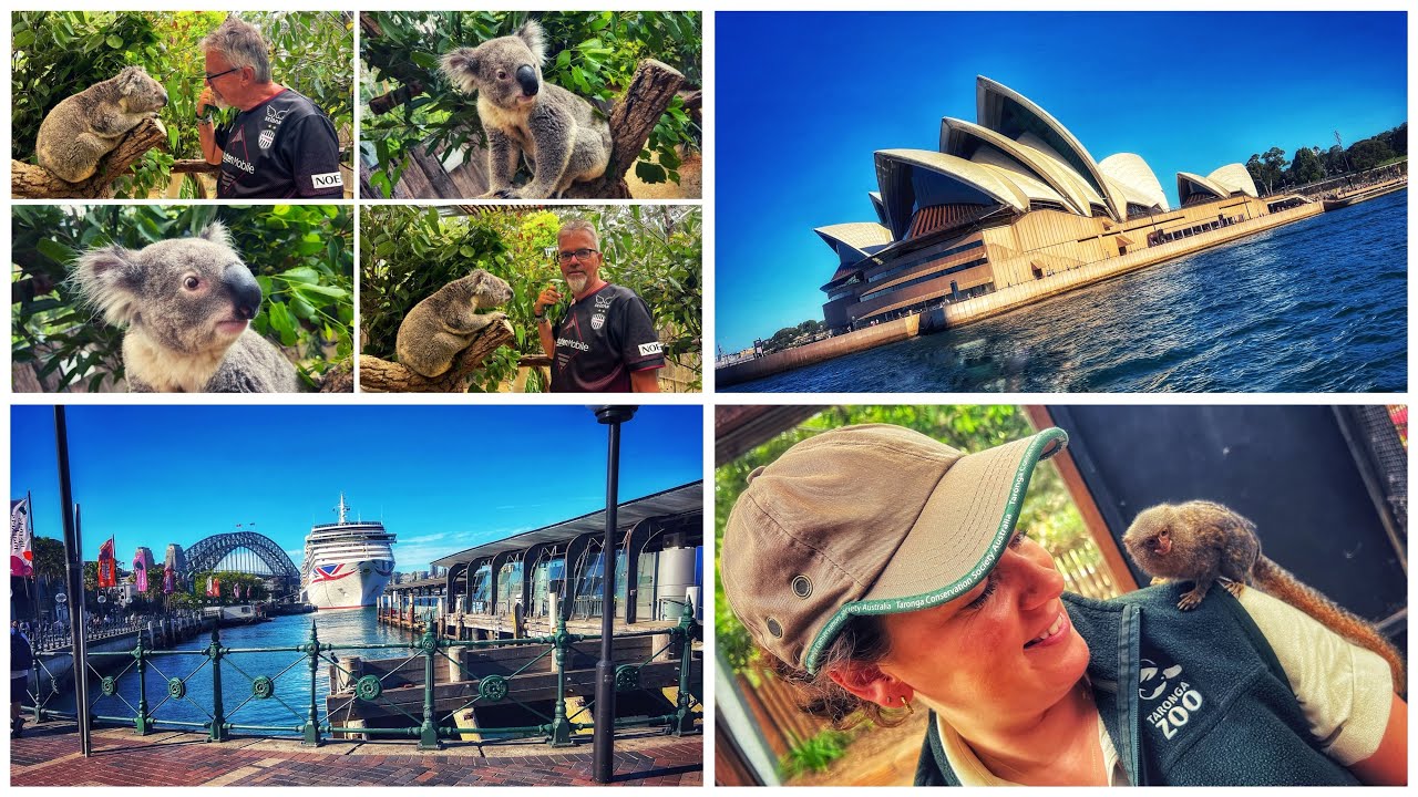 Sydney is like, where’s my boat? And cute furry animals, plus cliffs ...