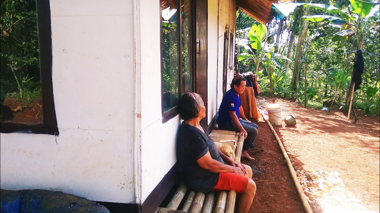 Suasana Kampung di Ujung Pinggir Hutan Desa Rancah | Kampung yang Asri ...