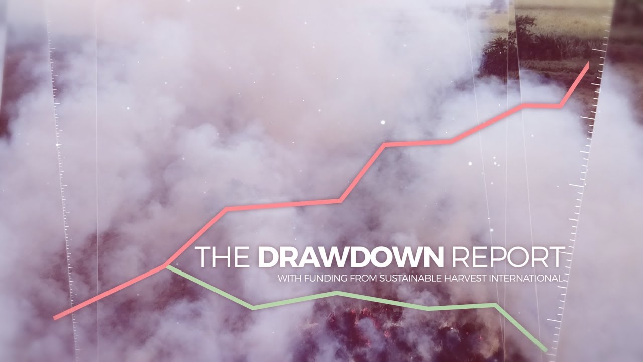 The Drawdown Report, Episode 1: Honduras - YouTube