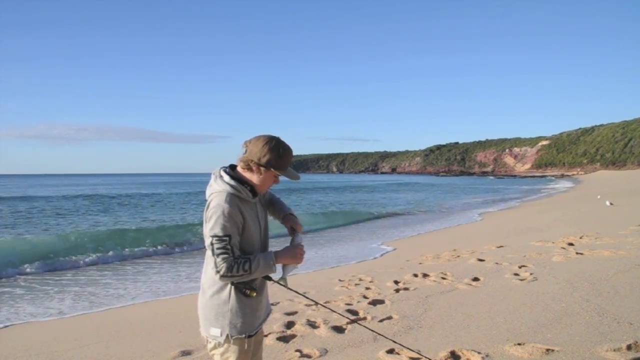 Beach fishing Merimbula, Dolphins,Tailor, and boats - YouTube