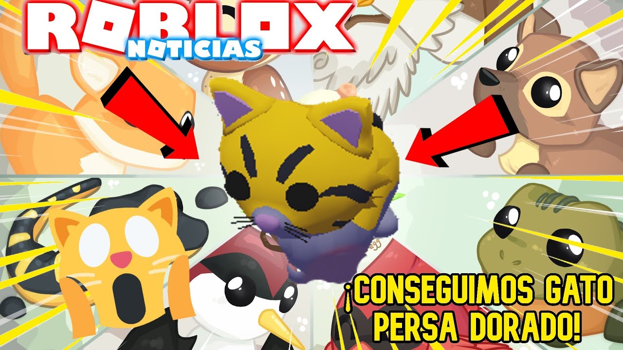 ¡COMO CONSEGUIR GATO PERSA DORADO!/🐱💛/ADOPT ME/TRADES/JUEGOS/ROBLOX ...