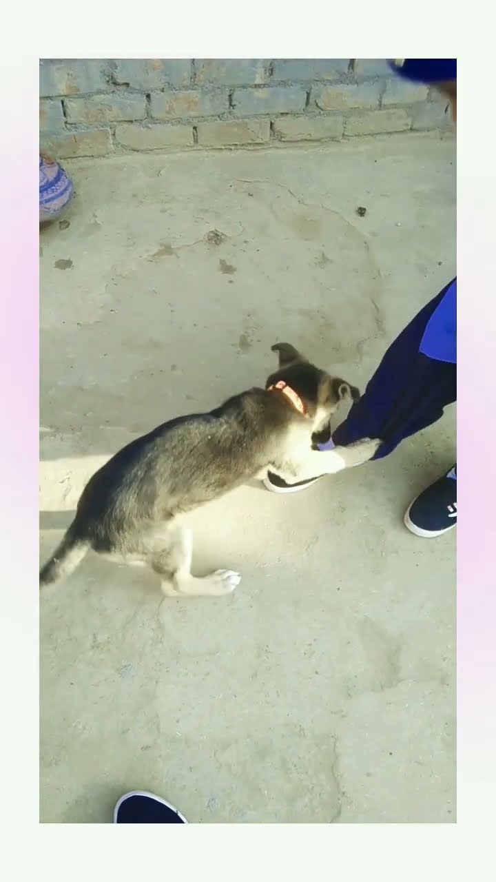 May 20, 2024 - YouTube