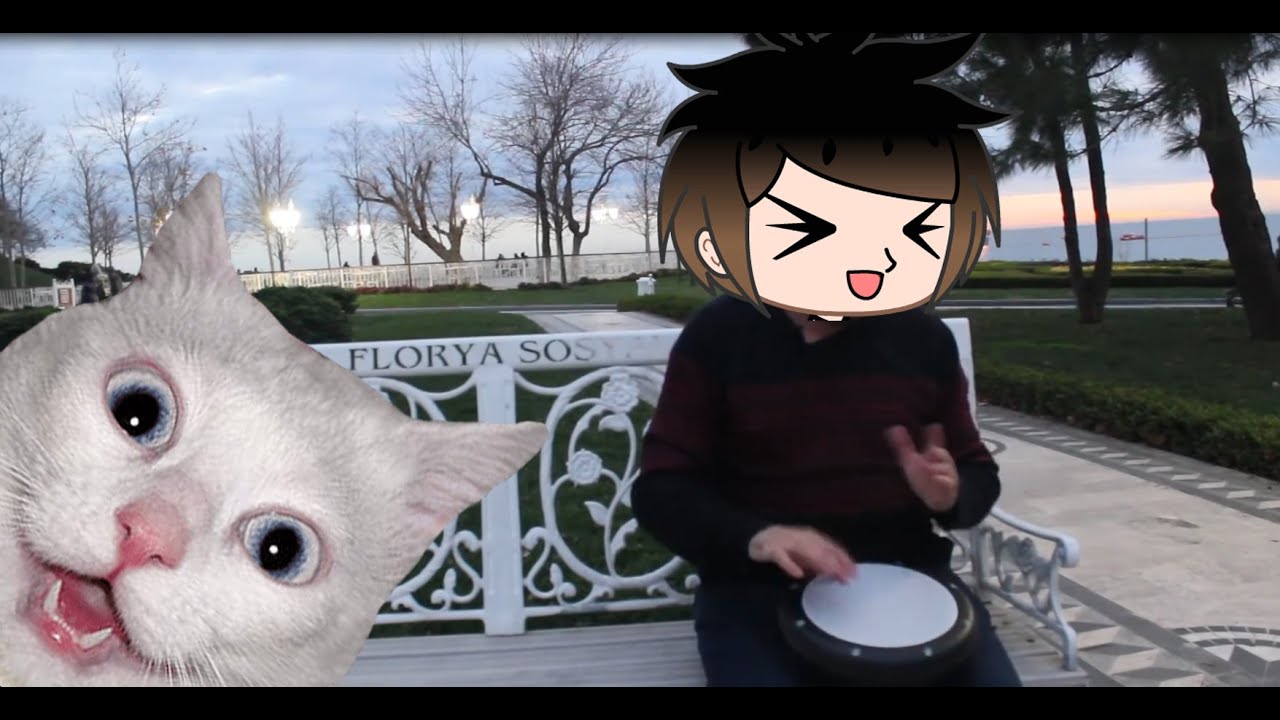 Cat Vibing To Ievan Polkka - Cat Vibing To Music - Cat Vibing Meme ...