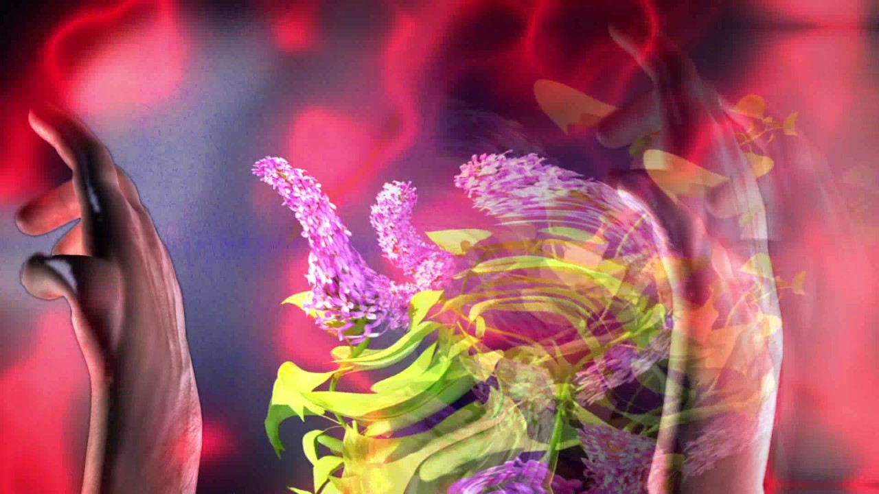 21st Century Wolf - Parachute - YouTube