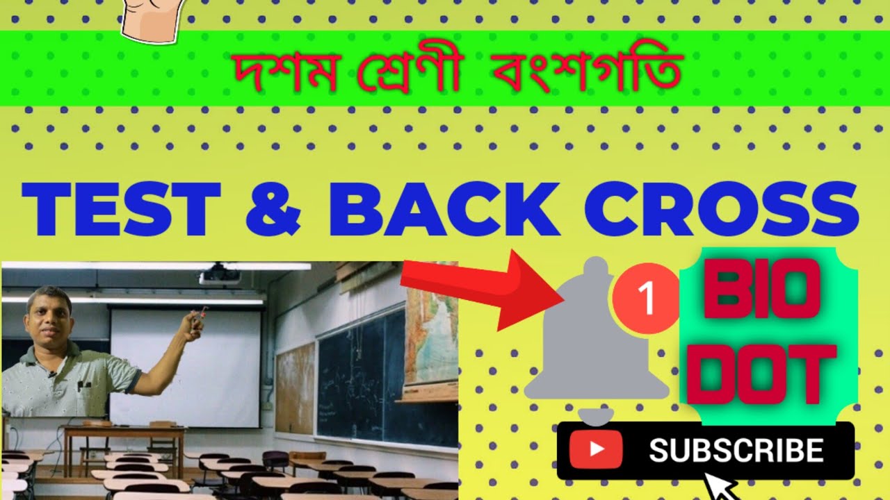 Defination , PUNNETT SQUARE explain and significance of Test cross and ...