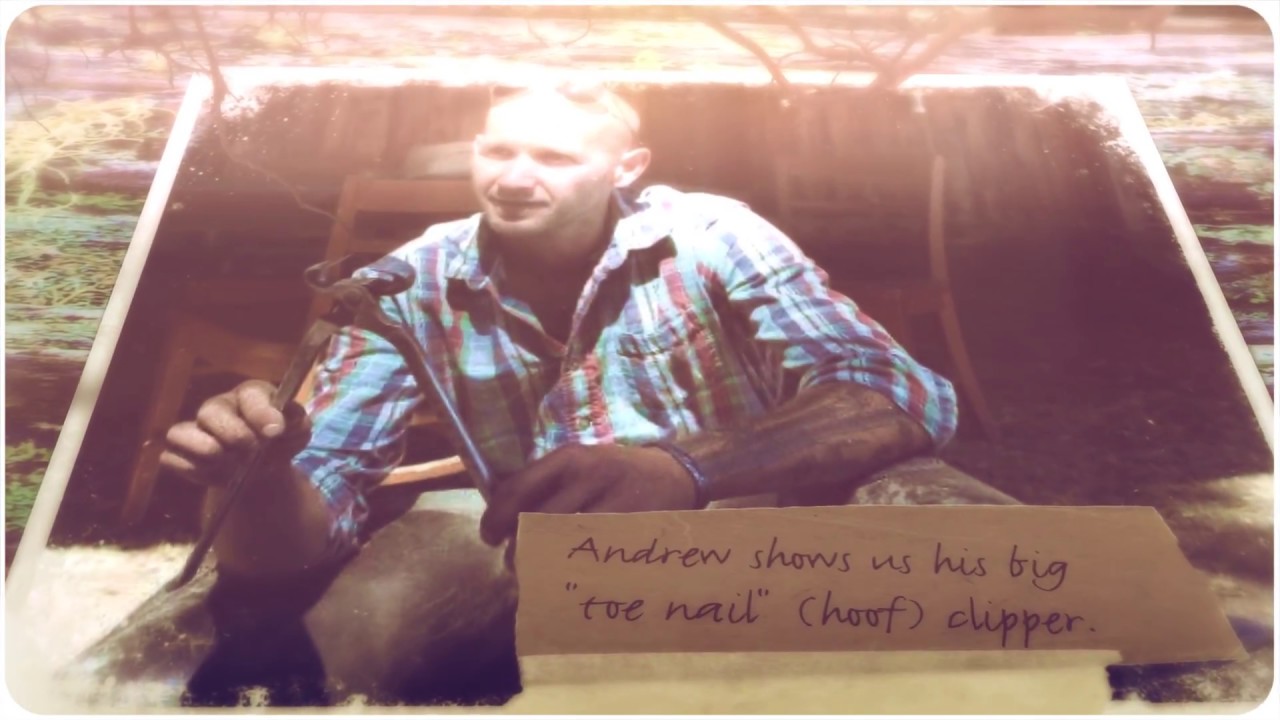 ** Farrier, Andrew Null, visits Hutchinson Homestead Learning Center ...