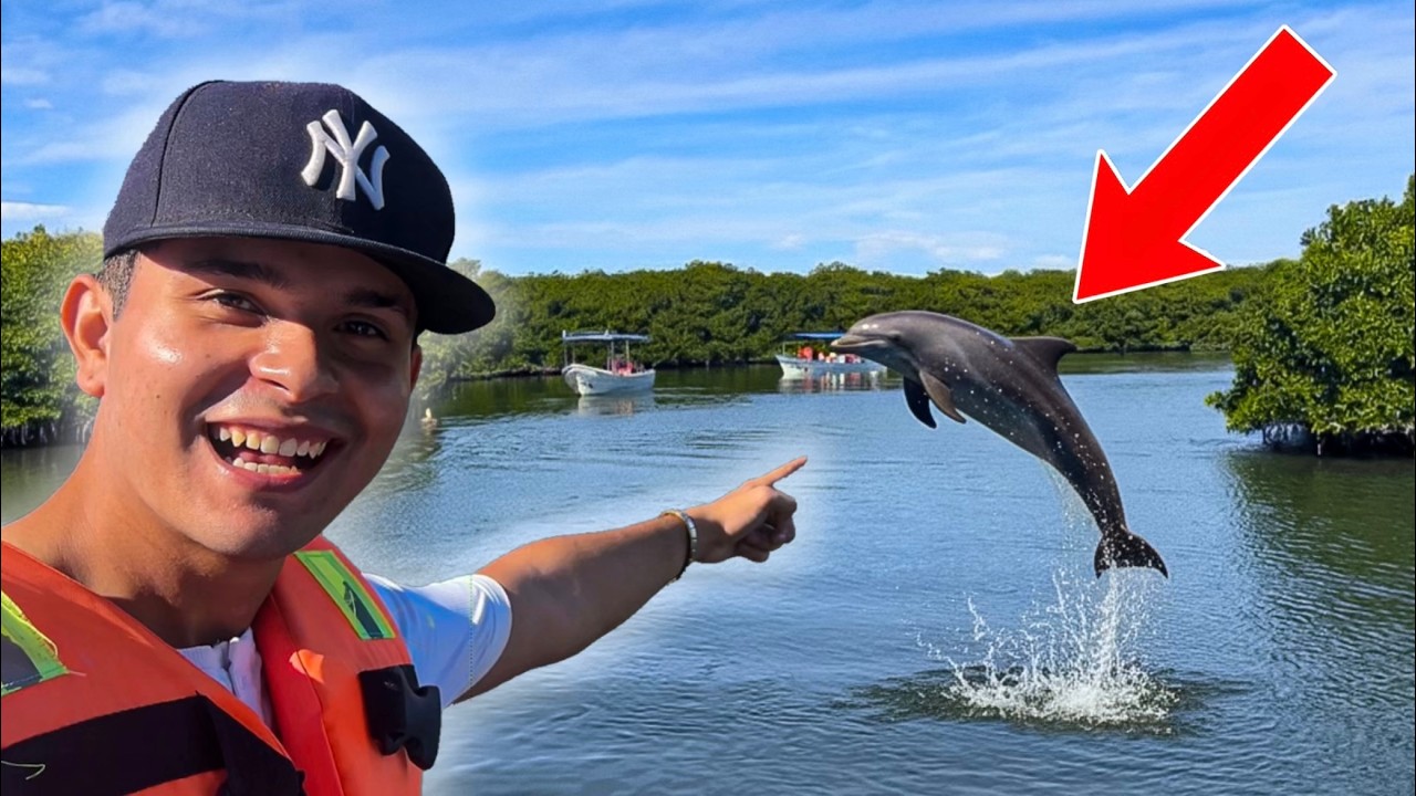 Visité al Delfín "PECHOCHO" en Topolobampo, Sinaloa | El mas amigable ...