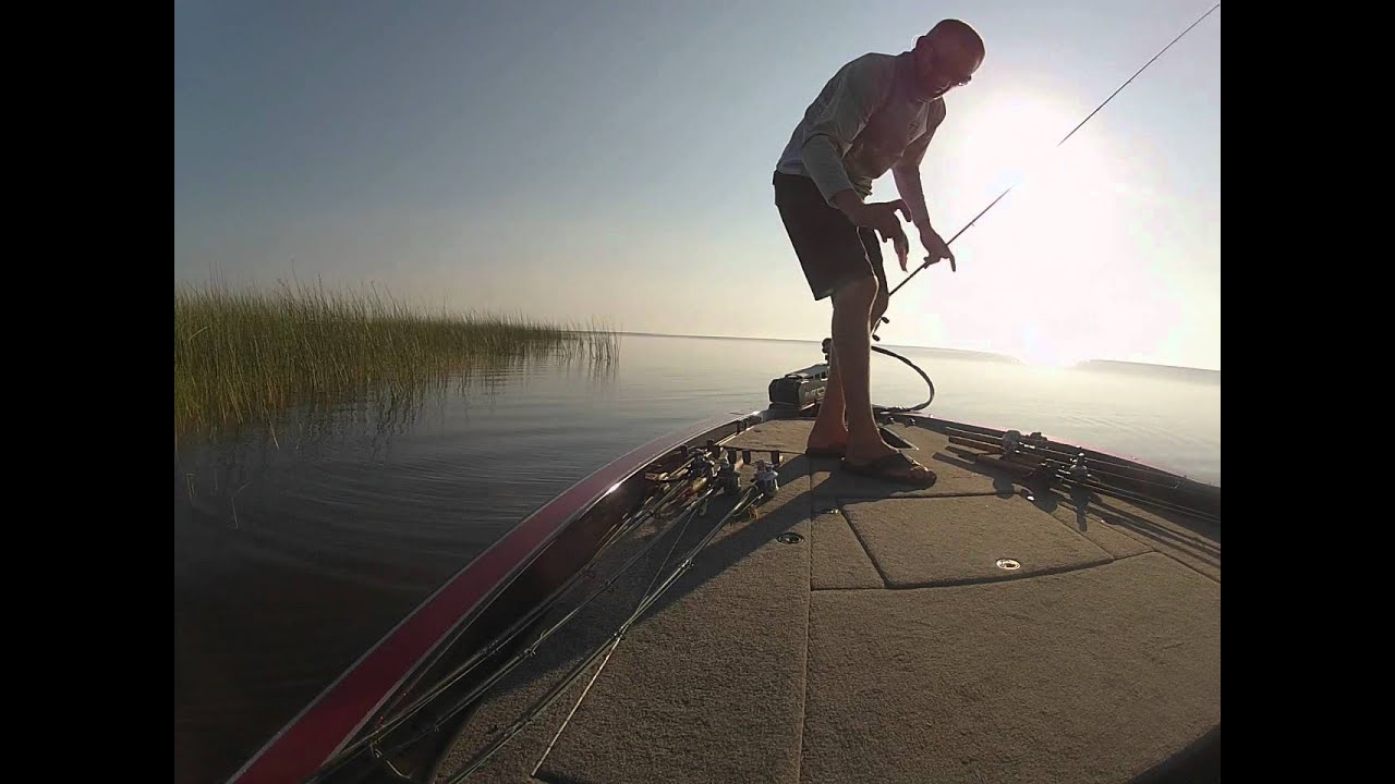 bass fishing pattern - YouTube