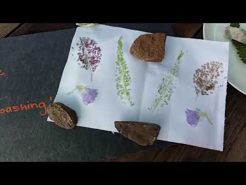 Quick hapazome/leaf bashing demonstration - YouTube