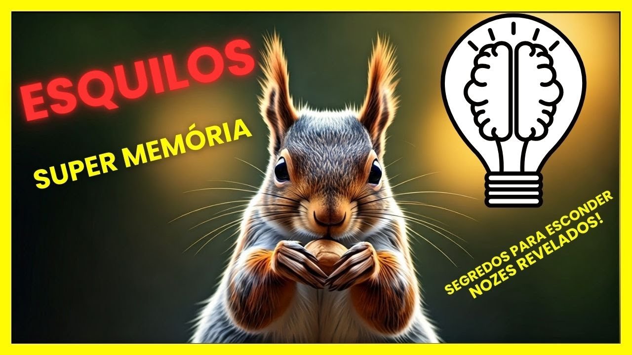 Super Memória do Esquilo Segredos para Esconder Nozes Revelados! # ...