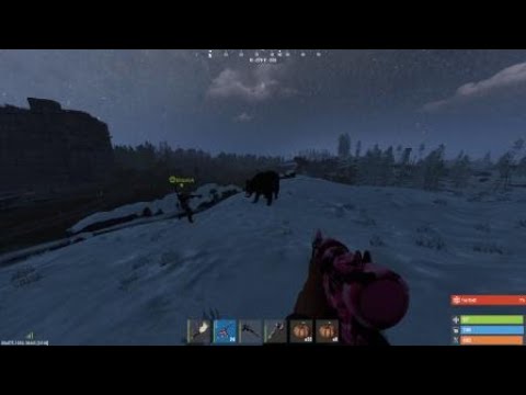 Bear spawn - YouTube