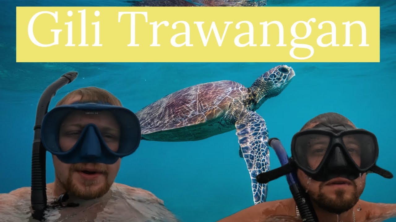 Gili T snorkelling at TURTLE point and underwater SCULPTURES! - YouTube