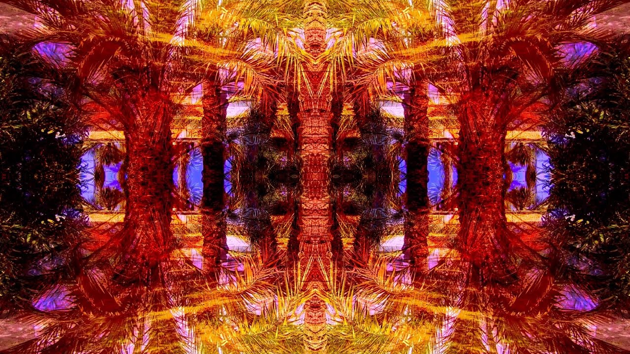 Magic Mushroom Trip Experience Trippy Video YouTube magic-mushroom-trip-experience-trippy-video-youtube