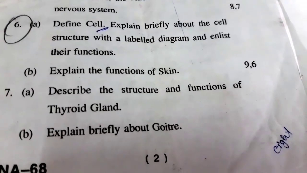 Bsc Nursing 1st YEAR ANATOMY PHYSIOLOGY 2019 Question Paper YouTube bsc-nursing-1st-year-anatomy-physiology-2019-question-paper-youtube