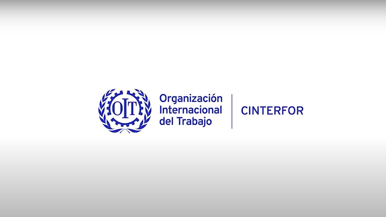 Videoconferencia OIT/Cinterfor: Observatorios de empleo y herramientas de manejo de datos - 6/7 ...
