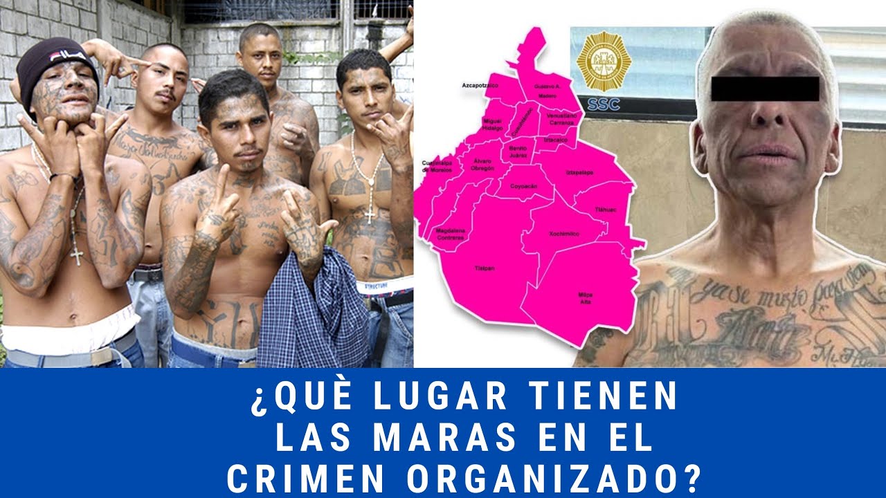 La REALIDAD que hay detrás de La MARA SALVATRUCHA. - YouTube