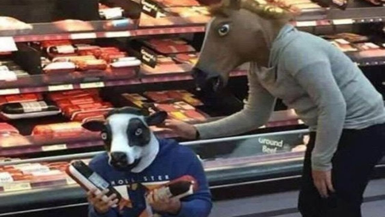 Laugh Attack #4 [Video Memes Compilation] - YouTube