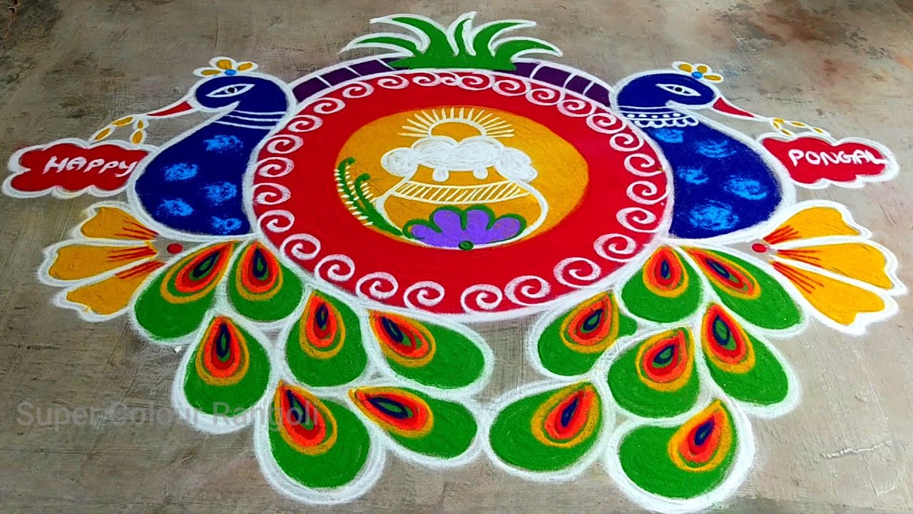 Pongal peacock rangoli 2024🌹Sankranthi chukkala muggulu🌹bhogi kundala ...
