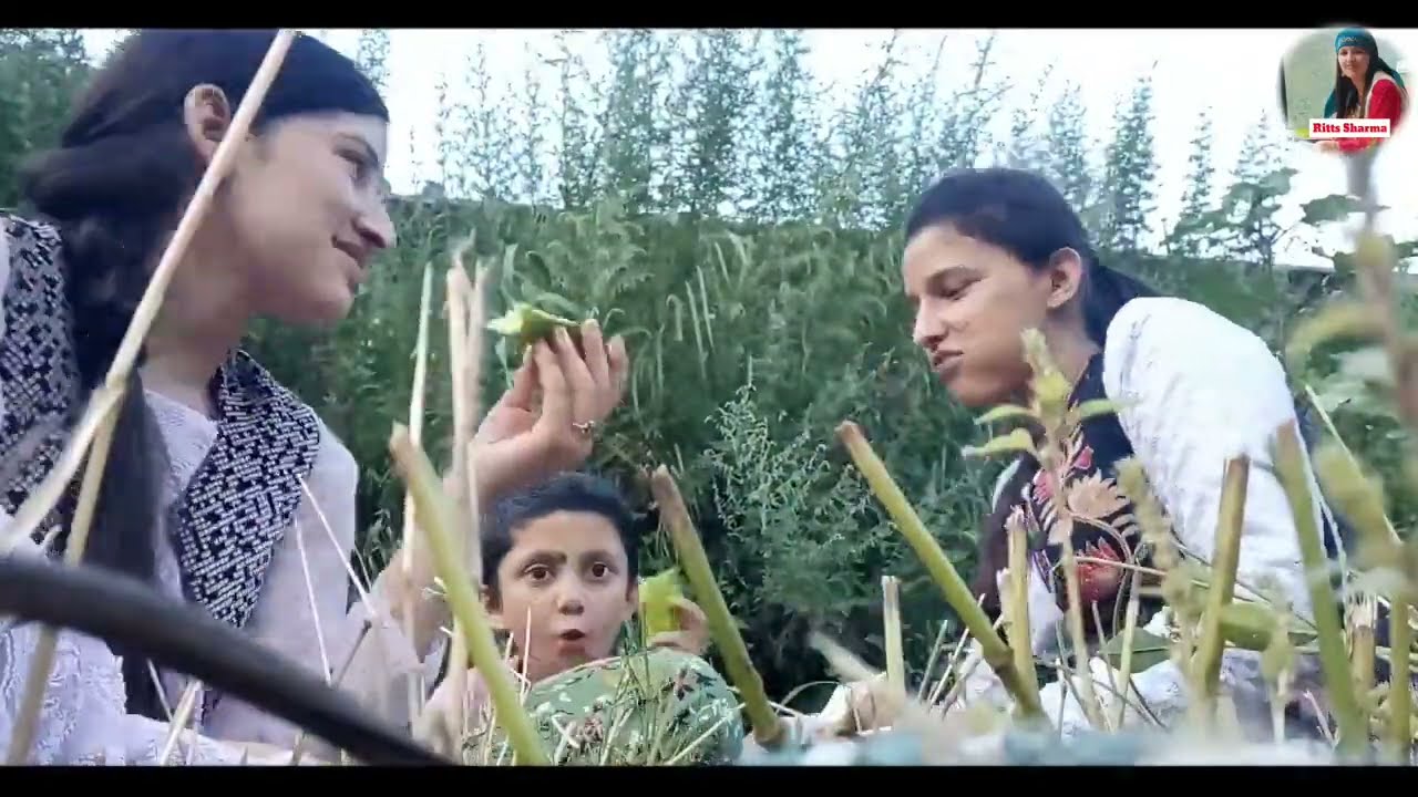 Beautiful Pahari Girl feeding and milking cow || Pahari women ...