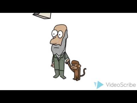 videoscribe de maslow-biografia